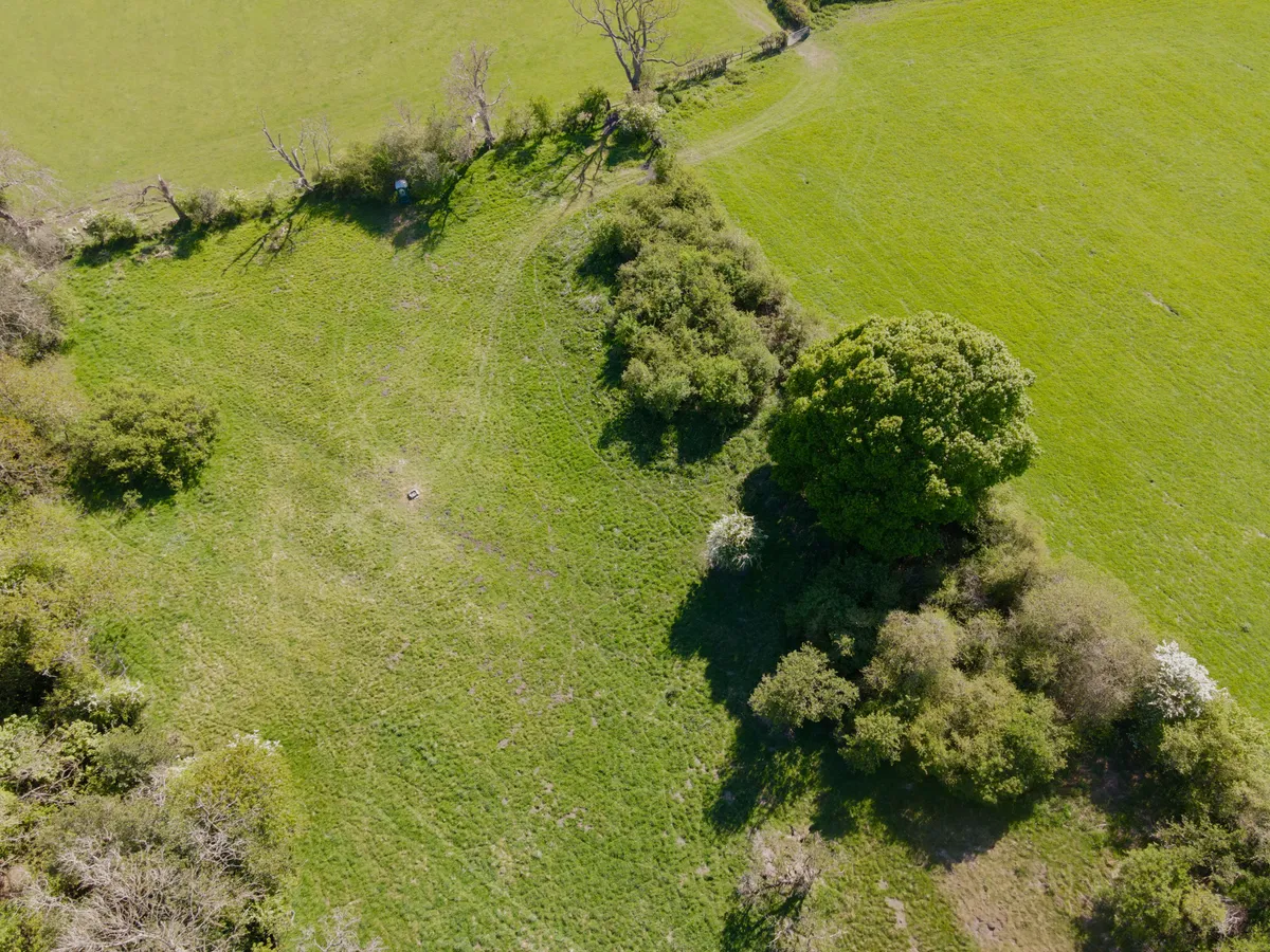 Wild With Consent | Holywell Farm