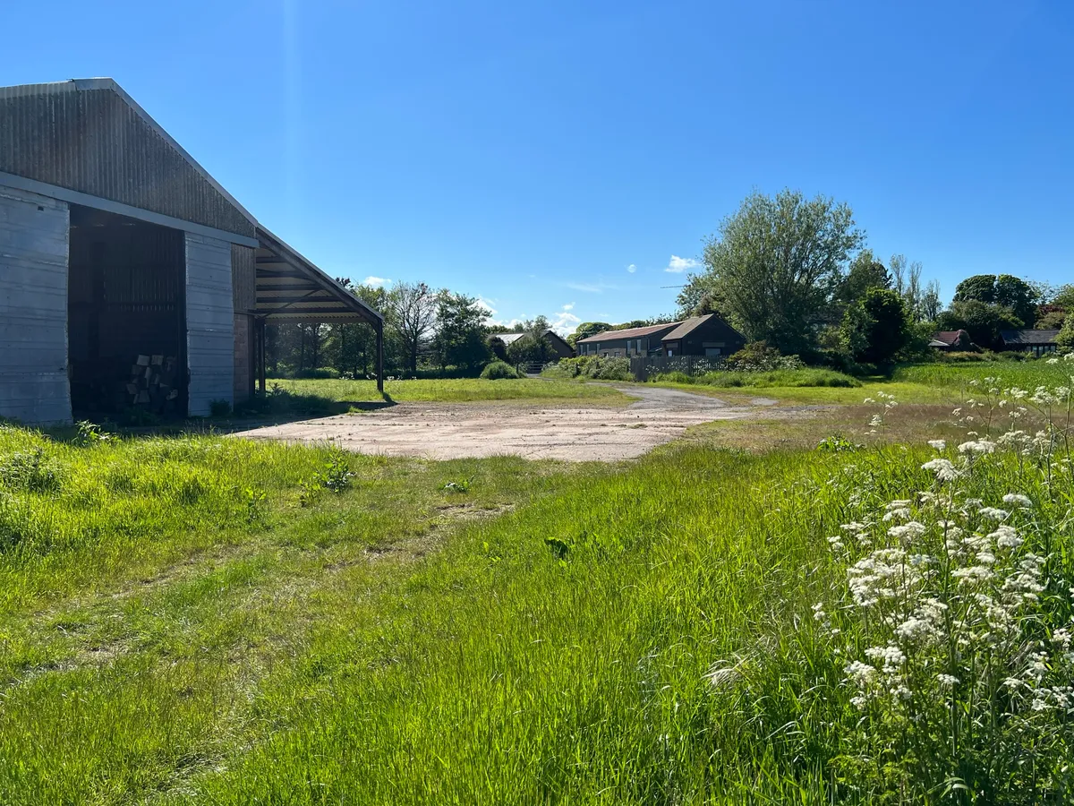 Wild With Consent | Newton Farm