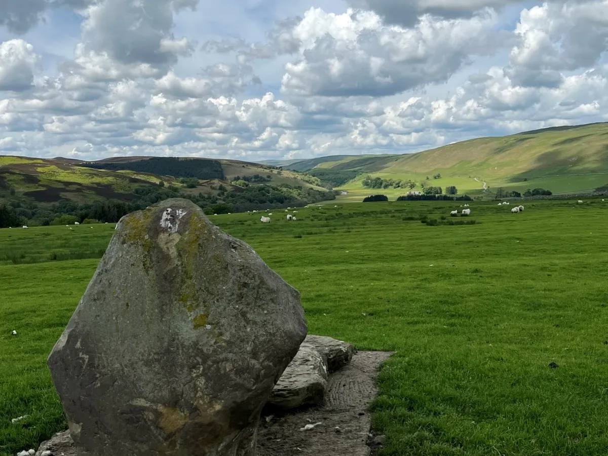Wild With Consent | Parkhouse Farm Narnia