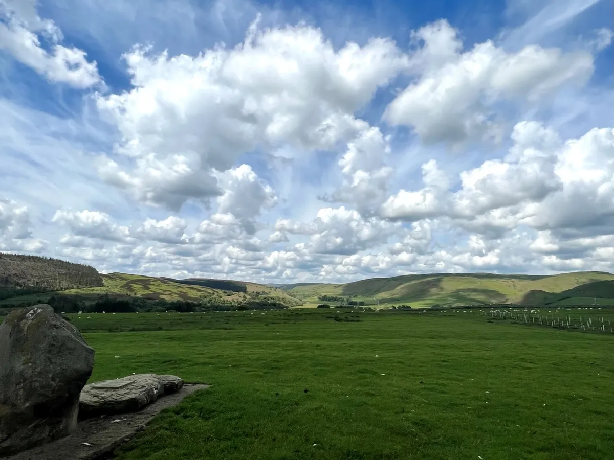 Wild With Consent | Parkhouse Farm Narnia