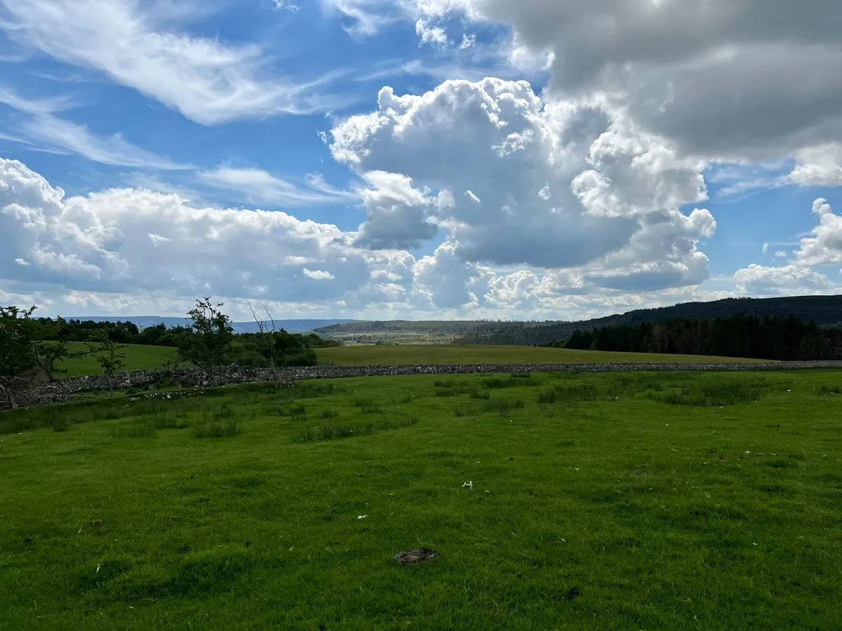 Wild With Consent | Parkhouse Farm Narnia