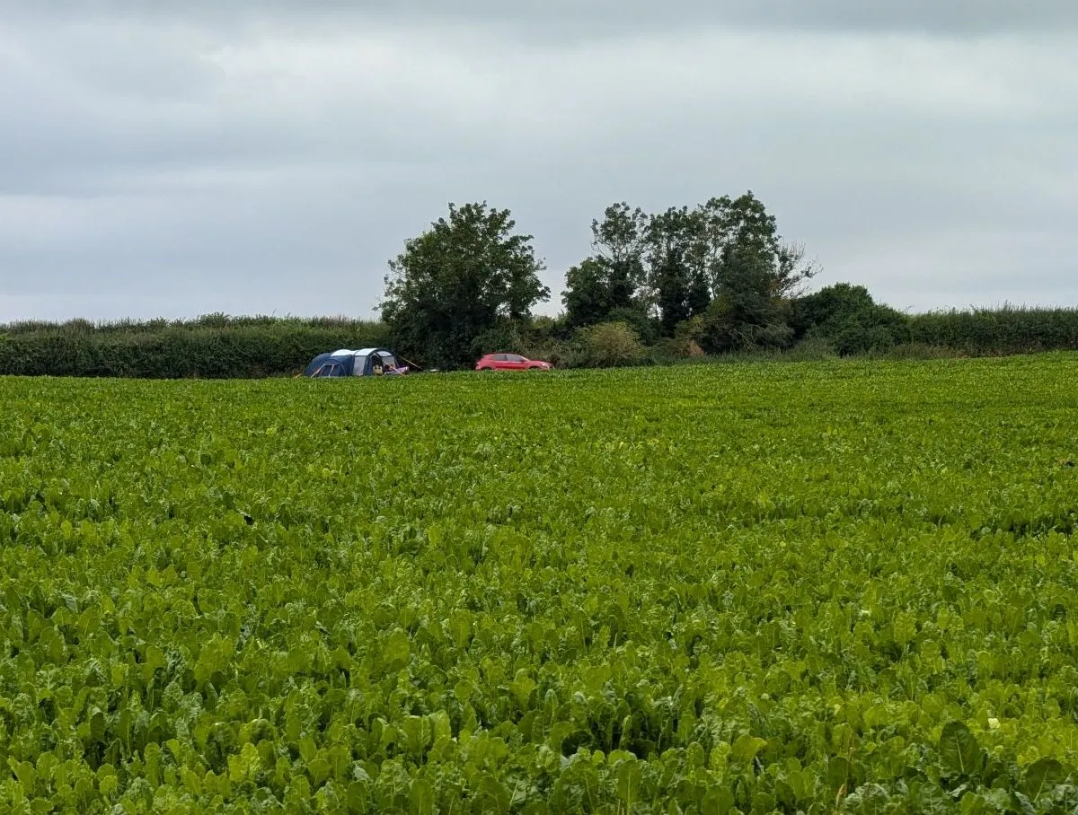 Wild With Consent | Rigsby Farm Coast View