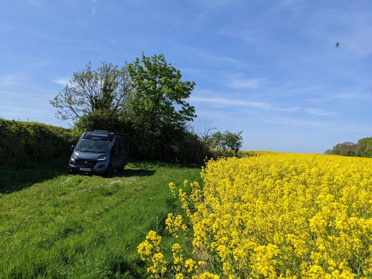 Wild With Consent | Rigsby Farm Coast View