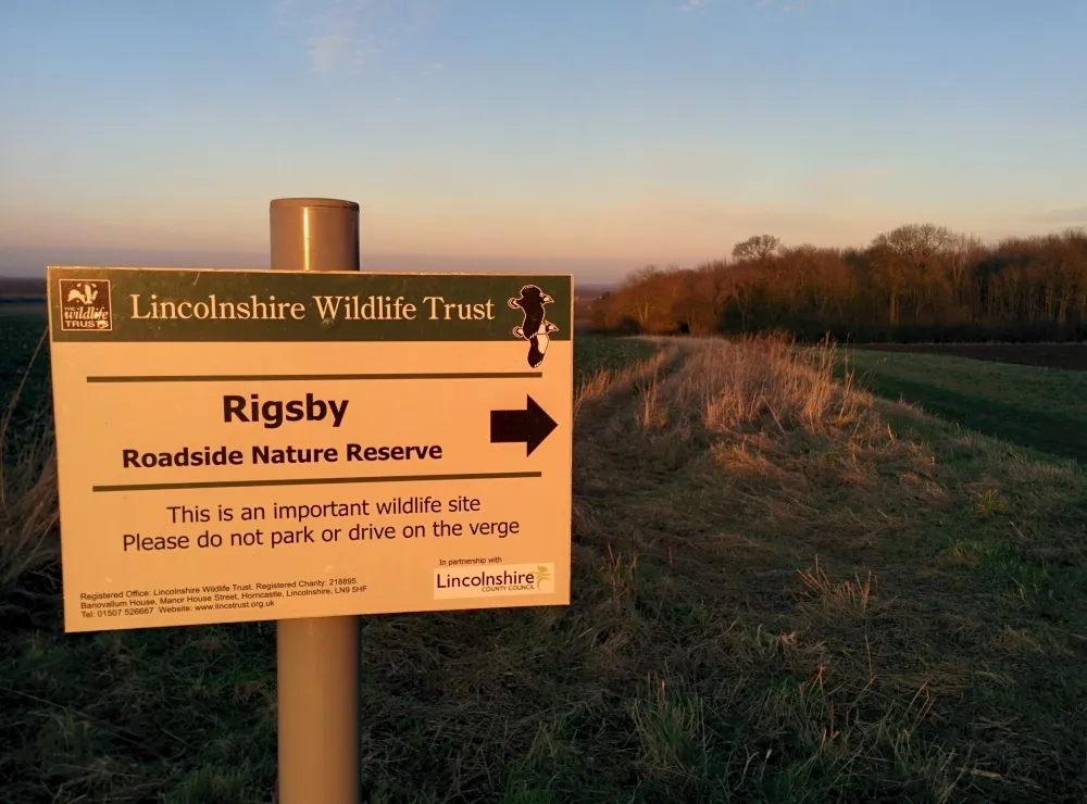 Wild With Consent | Rigsby Farm, Lincolnshire Wolds