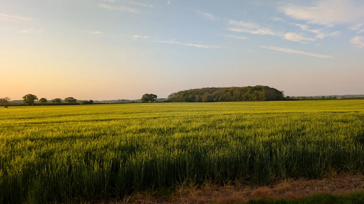 Wild With Consent | Rigsby Farm, Lincolnshire Wolds
