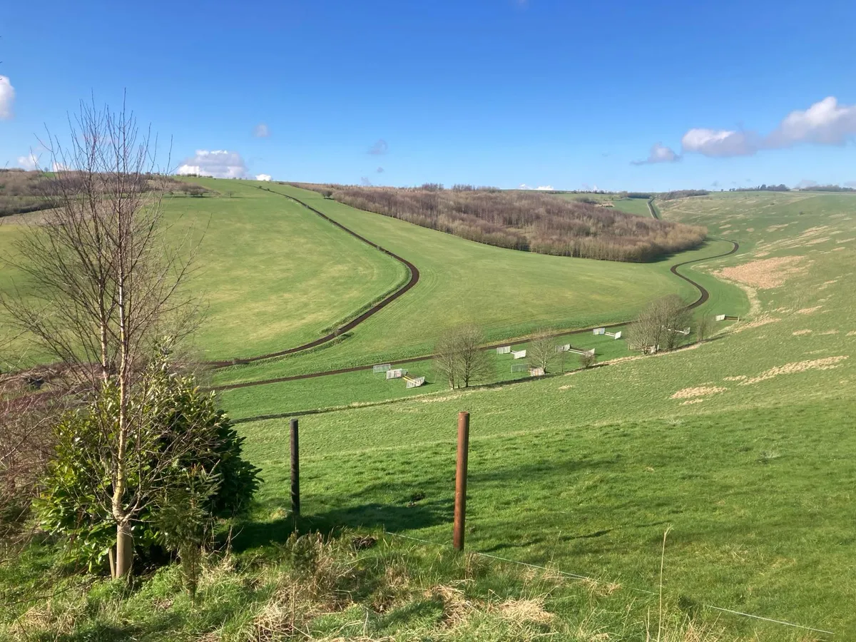 Wild With Consent | Upper Herdswick Farm