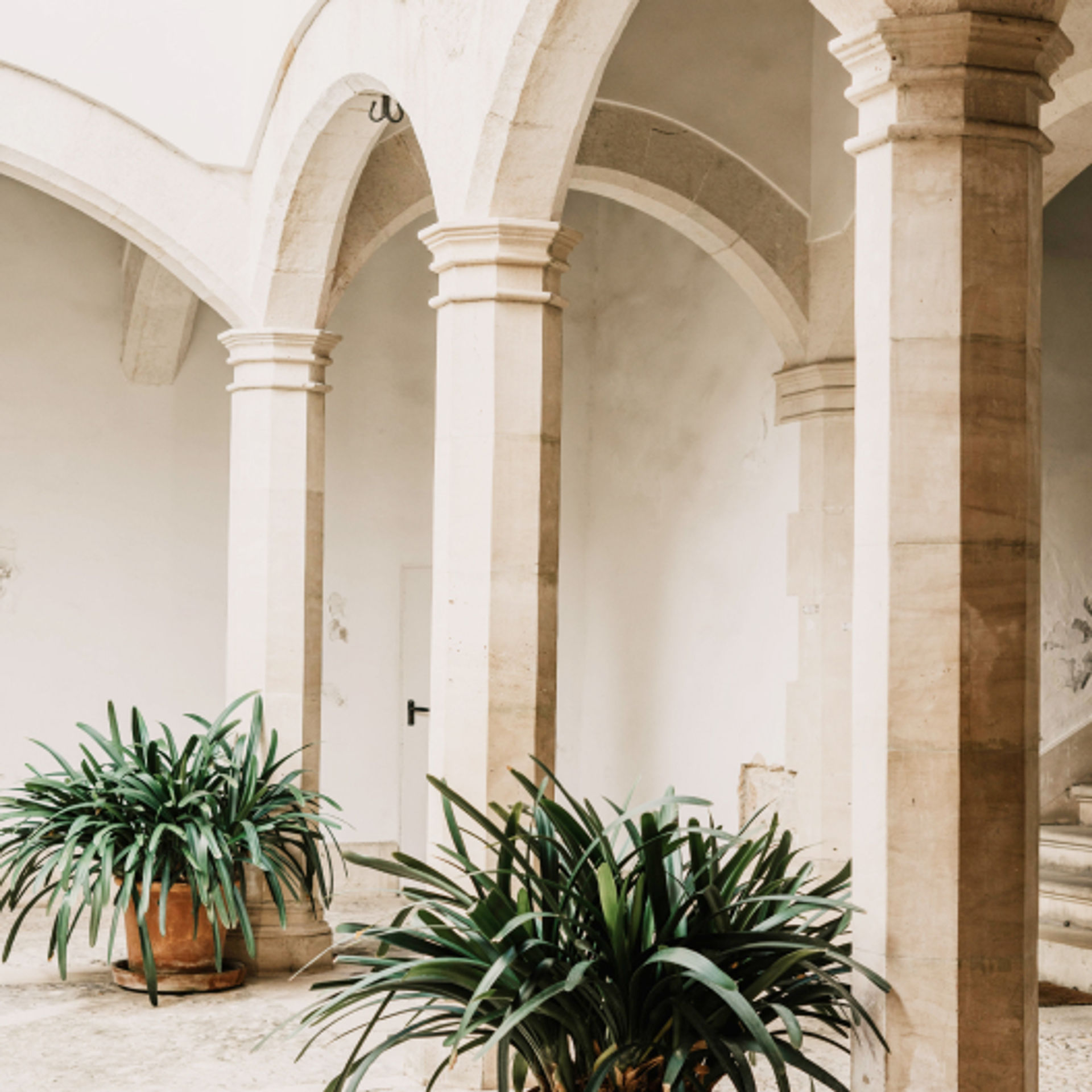 Canei - Make Life More Frizzante