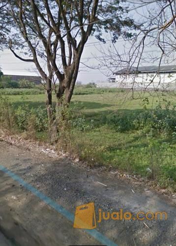 Nyade Tanah Strategis Tepi Jalan Lingkar Kudus-Jepara L1600, Diapit Pt ...