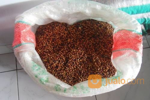 Biji Turi | Benih Turi Putih | Harga Biji Turi Murah | Tersedia Bibit ...