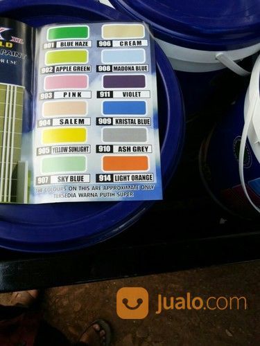 CAT DIILUX Watershield Interior And Exterior Decoration.Size 20kg di ...