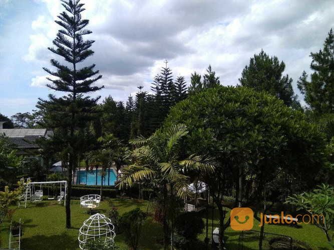 Sewa Villa Puncak 5 Kamar Tidur , Ada Kolam Renang. Kolam Pemancingan ...