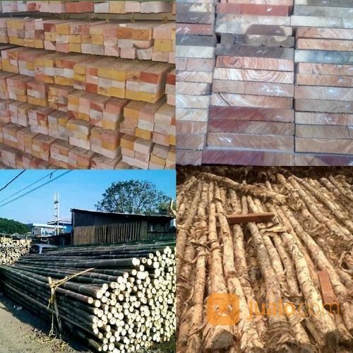 Bambu ,Kaso, Dan Dolken di Kota Jakarta Selatan, DKI Jakarta | Jualo.com