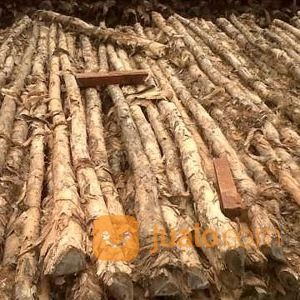 Bambu ,Kaso, Dan Dolken di Kota Jakarta Selatan, DKI Jakarta | Jualo.com