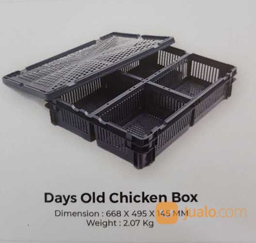 Days Old Chicken Doc Box Keranjang Anak Ayam Sekat 4 di Kota Surabaya ...