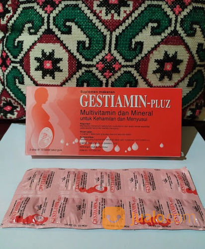 Gestiamin Pluz Multivitamin Dan Mineral Ibu Hamil Dan Menyusui Termurah ...