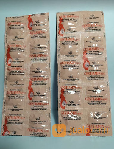 Gestiamin Pluz Multivitamin Dan Mineral Ibu Hamil Dan Menyusui Termurah ...