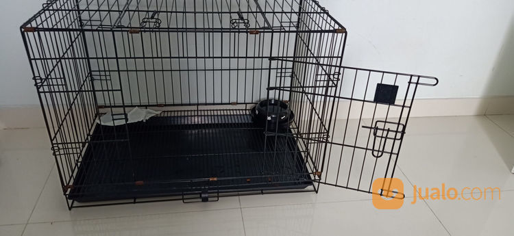 Anakan Mini Pom Stambun Dan Vaksin Dgn Harga Pake Lengkap di Kota ...