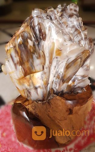 Batu Fosil Kayu 2 di Kota Medan, Sumatera Utara | Jualo.com