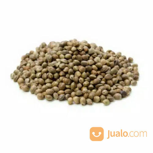 Fumayin /Hempseed Dongkrak Stamina Dilapangan Produk Canda Baru di Kota ...
