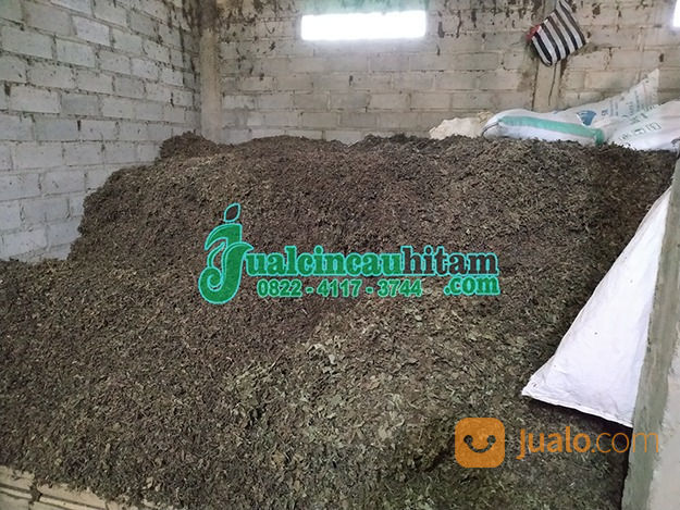 Supplier Janggelan | Daun Cincau Hitam Dari Petani Pacitan di Kab ...