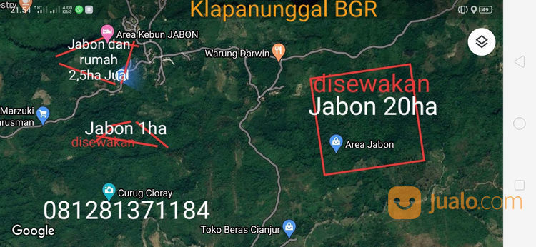 Log Kayu Jabon Continue Khusus Jabotabek di Kab. Bogor, Jawa Barat ...