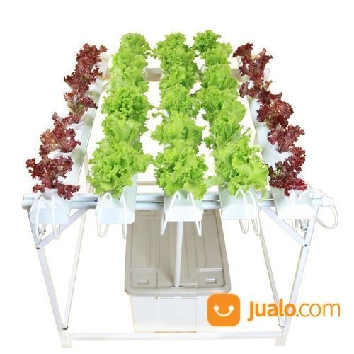 Hidroponik Kit Gully di Kota Surabaya, Jawa Timur | Jualo.com