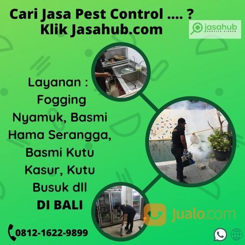 Jasa Basmi Tikus, Basmi Serangga Di Bali di Kota Denpasar, Bali | Jualo.com