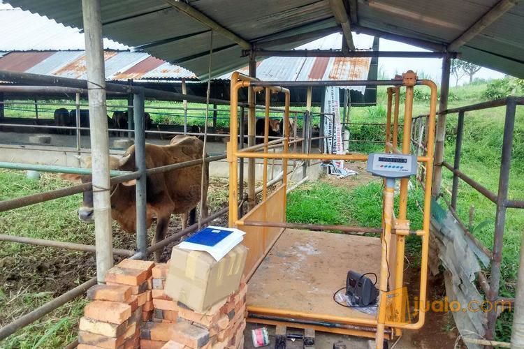 Timbangan sapi kapasitas 1 TON di Kota Jakarta Timur, DKI Jakarta ...