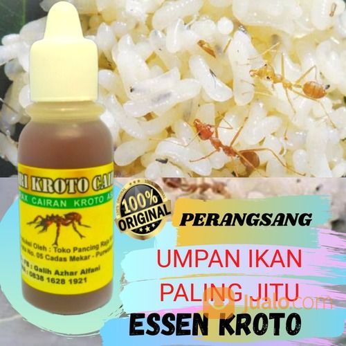 Essen Kroto Cair Biang Kroto Murni Produk Raja Kroto Essen Ikan Mas di ...