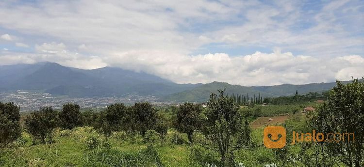 Lahan Pertanian Dan Kebun Jeruk Termurah di Kota Batu, Jawa Timur ...