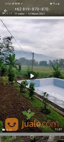 VILLA SEJUK Ada Kolam Renangnya Dan Kebun Buah Di Subang di Kab. Subang ...