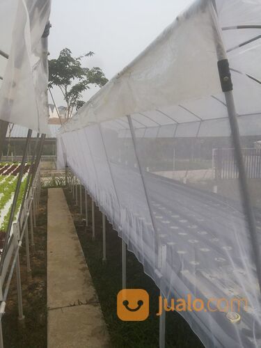 Insectnet Untuk Tanaman, Murah, Dijamin Kuat Dan Awet Dipakai! di Kab ...