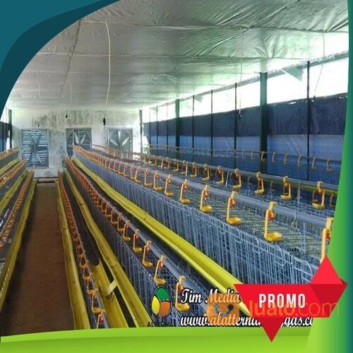 HP/WA: 0822-4535-2979 BIAYA PEMBUATAN KANDANG CLOSE HOUSE SEDERHANA di ...