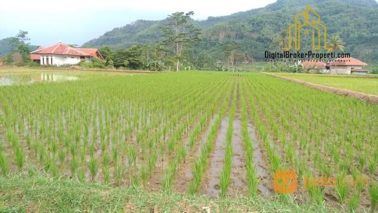 TANAH VIEW INDAH COCOK UNTUK VILLA Di SOREANG BANDUNG | ELLA di Kota ...