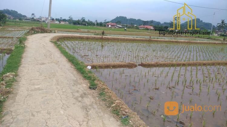 TANAH VIEW INDAH COCOK UNTUK VILLA Di SOREANG BANDUNG | ELLA di Kota ...