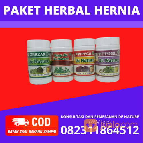 Solusi Obat Hernia Herbal Alami Di Jawa Tengah Paling Ampuh Dan Murah ...