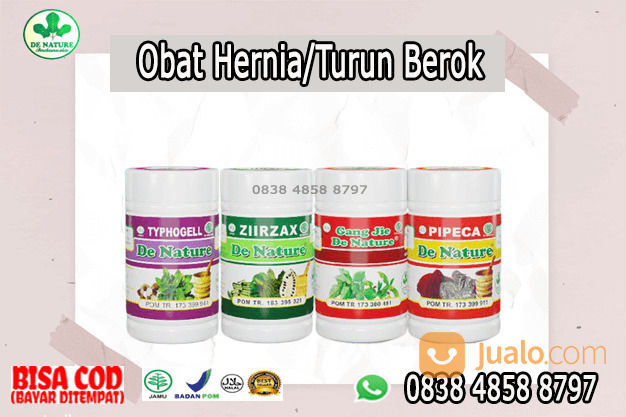 Obat Hernia Alami, Hernia Hiatal, Hernia Epigastrik Yang Ampuh Di ...