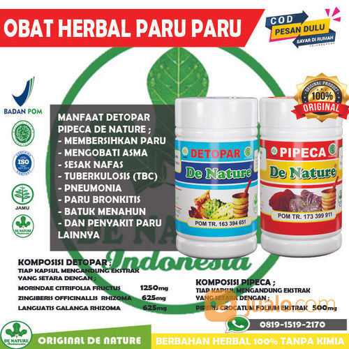 Obat Herbal Radang Paru Paru, Pneumonia,Paru Basah, Bronkitis Terbukti ...