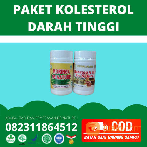 Rekomendasi Obat Kolesterol Di Apotik Paling Ampuh Dan Terbaik Khasiat ...