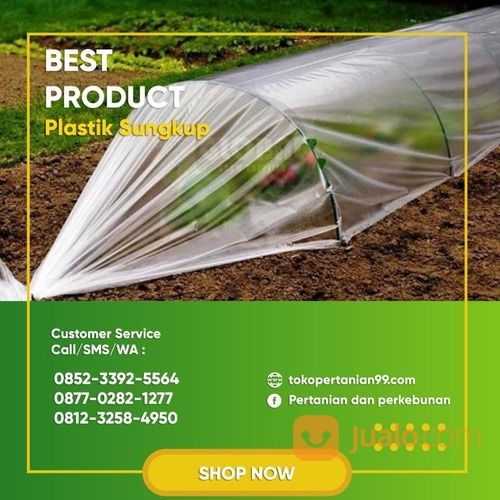 Plastik Sungkup Bening Untuk Penutup Semaian Bibit Dan Tanaman di Kab ...