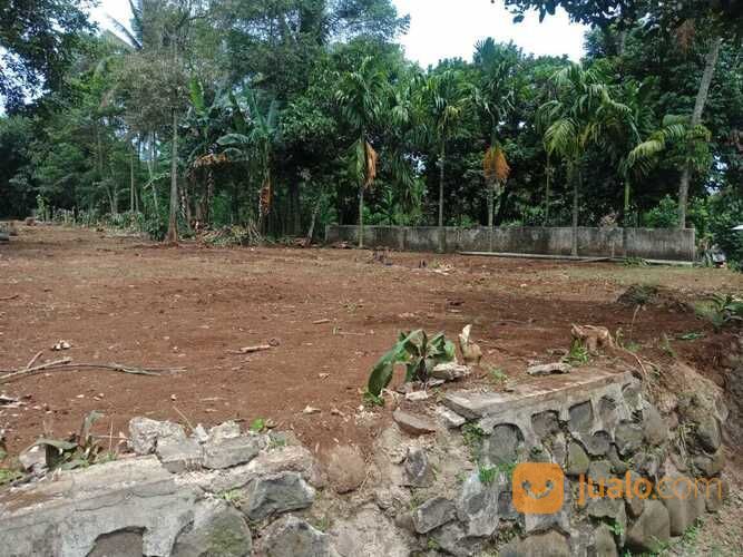 10 Meter Jalan Raya Cibodas - Rumpin, Free Fasum, Tanah Rumpin SHM di ...