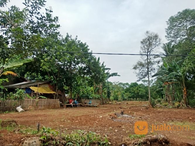 10 Meter Jalan Raya Cibodas - Rumpin, Free Fasum, Tanah Rumpin SHM di ...