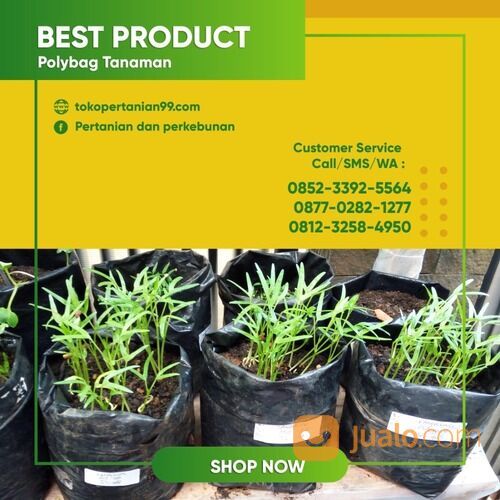 Polybag Tanaman Polybag Murah Polybag Besar Polybag Kecil Polybag Berbagai Ukuran di Kab ...
