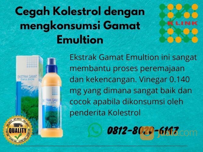 Khasiat Gamat, Ekstrak Gamat Emulsion, Manfaat Gamat Gold, Manfaat ...