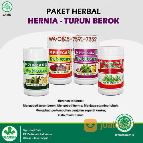 Obat Herbal Hernia Turun Berok Atau Usus Menonjol Usus Turun 100% Bahan ...