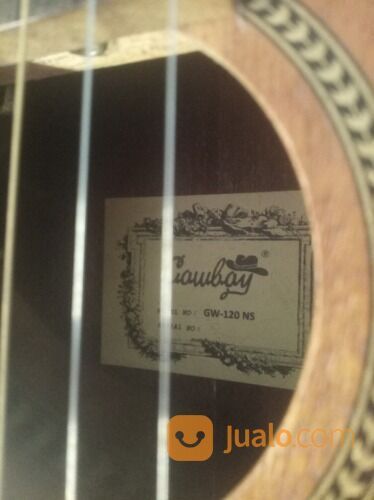 Elektrik Cowboy 3/4 Preamp Fishman di Kota Bandung, Jawa Barat | Jualo.com