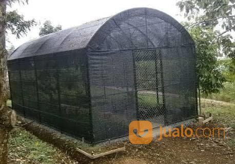 Terlaris! Jaring Paranet Untuk Pembuatan Greenhouse, Dijamin Awet di ...