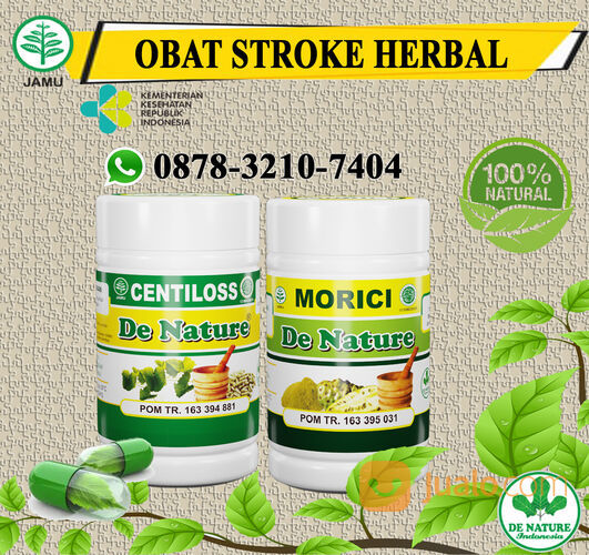 Obat Stroke Ringan Dan Stroke Berat Aman Dari 100% Bahan Herbal Alami ...