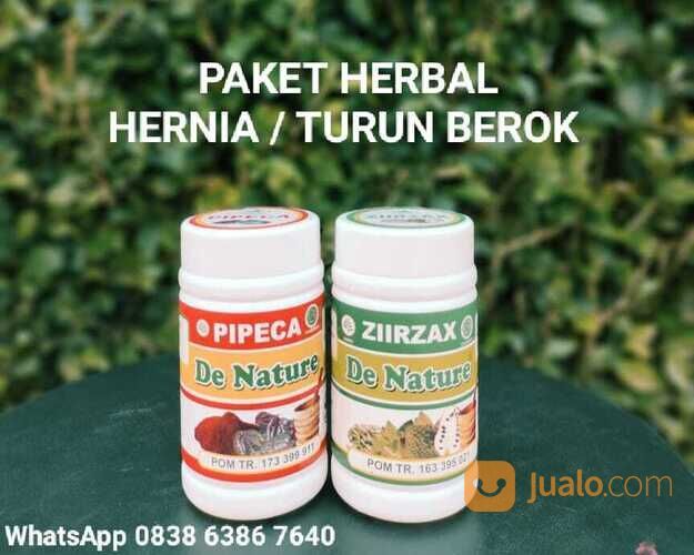 Cara Atasi Hernia Atau Tedun Secara Alami Tanpa Operasi Tanpa Efek ...