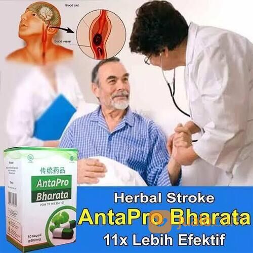 Obat Stroke Antapro Bharata 100% Original di Kab. Batanghari, Jambi ...